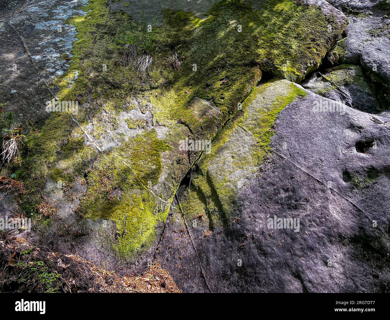 Old mossy rock texture background Stock Photo - Alamy