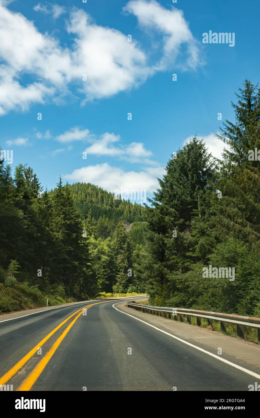 Road in summer forest. Beautiful mountain roadway, trees with green ...