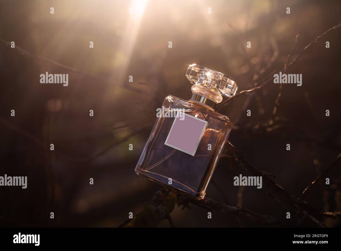 perfume bottle at nature background Stock Photo - Alamy