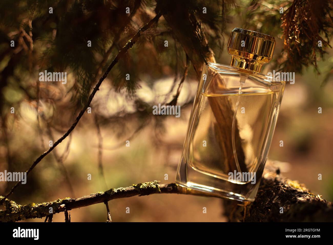 perfume bottle at nature background Stock Photo - Alamy