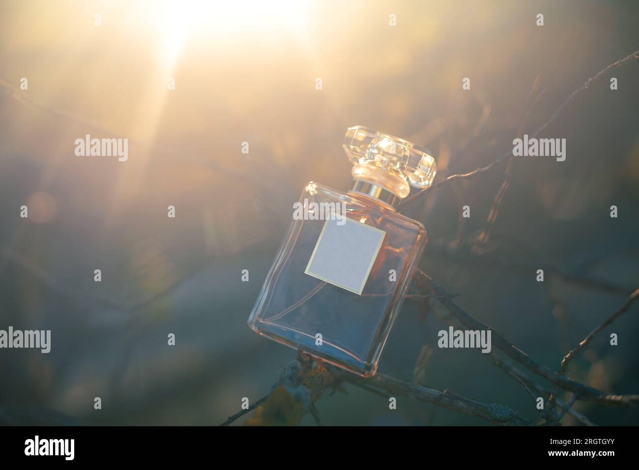 Minimalist perfume bottle hi-res stock photography and images - Alamy