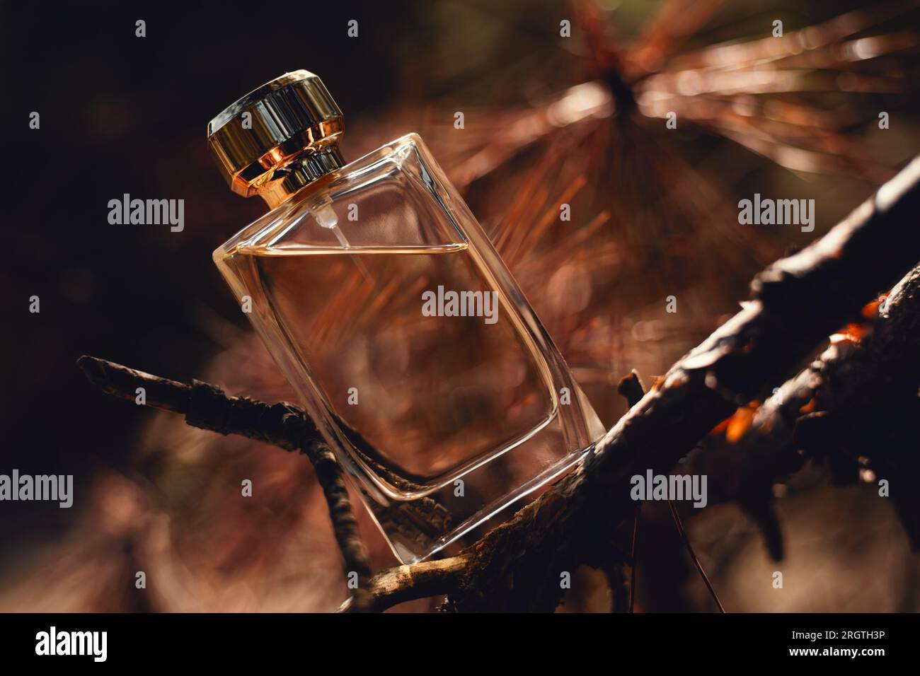 perfume bottle at nature background Stock Photo - Alamy