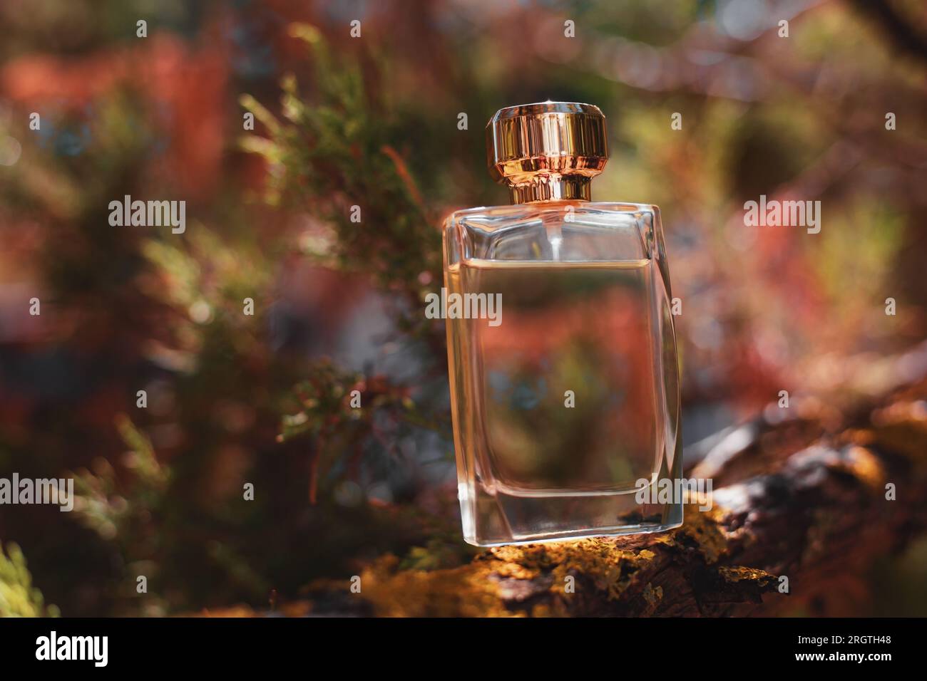 perfume bottle at nature background Stock Photo - Alamy