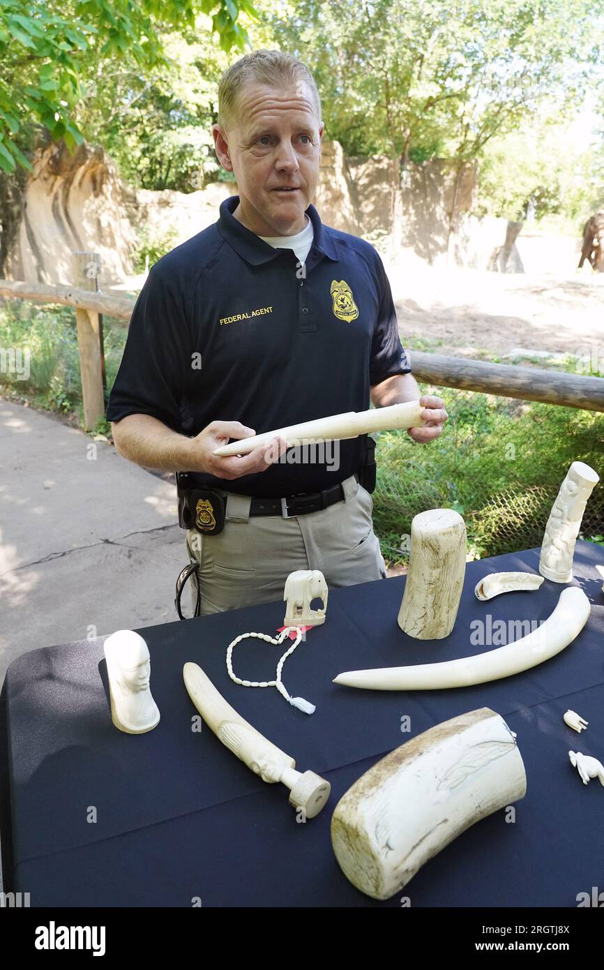 St. Louis, United States. 11th Aug, 2023. Christopher Aldrich, Special ...