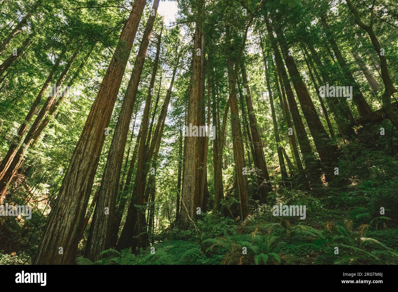San Francisco 2023 Stock Photo - Alamy