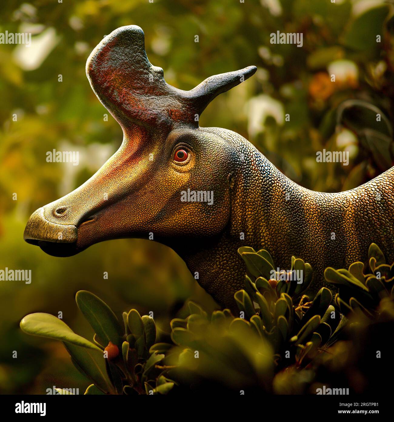 Lambeosaurus hi-res stock photography and images - Alamy