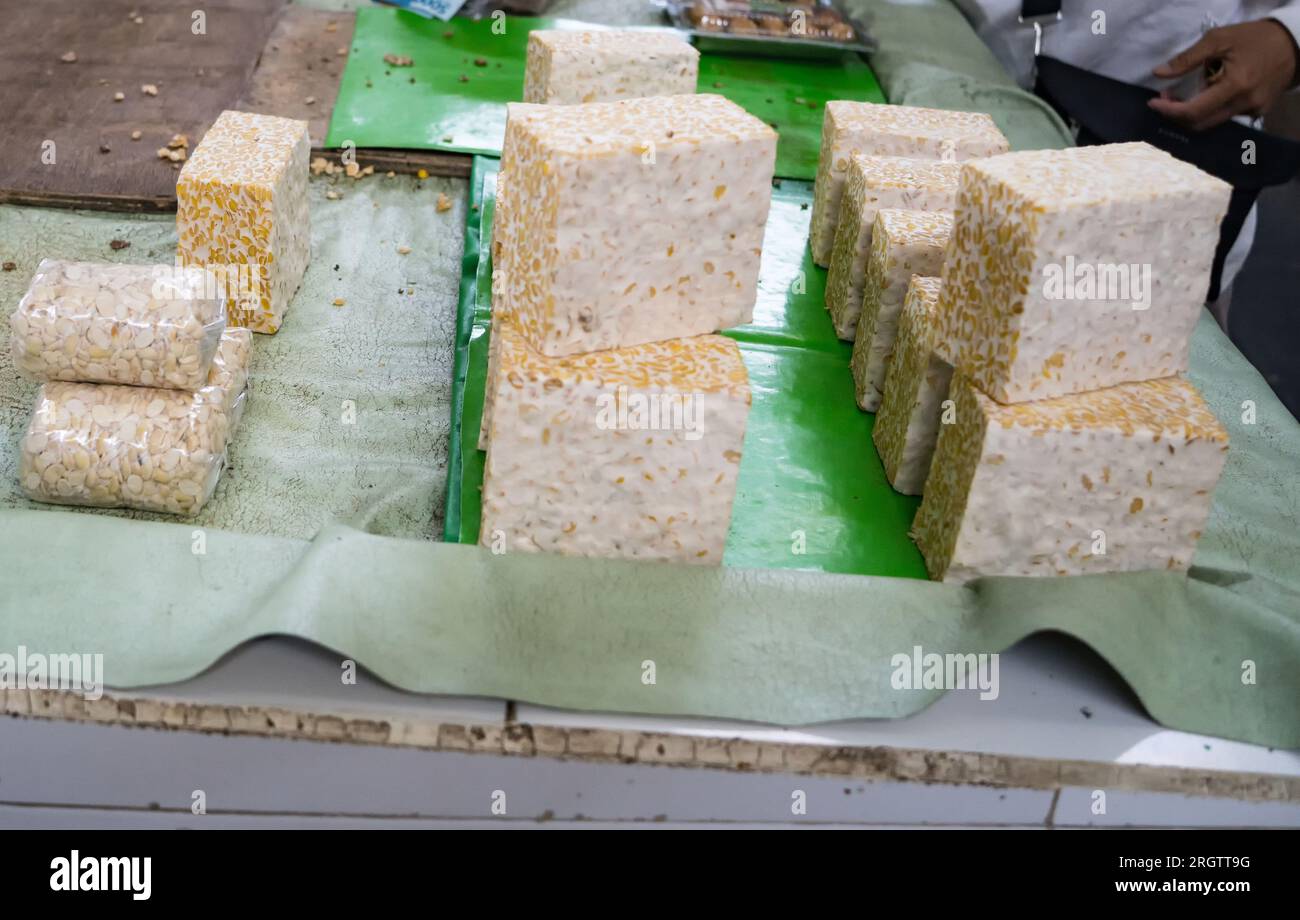 Tempe mentah or Raw Tempeh the Crafted from high quality soybeans, this ...