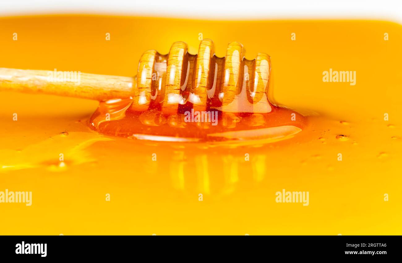 packaged bee honey, natural and healthy food products made by insect ...