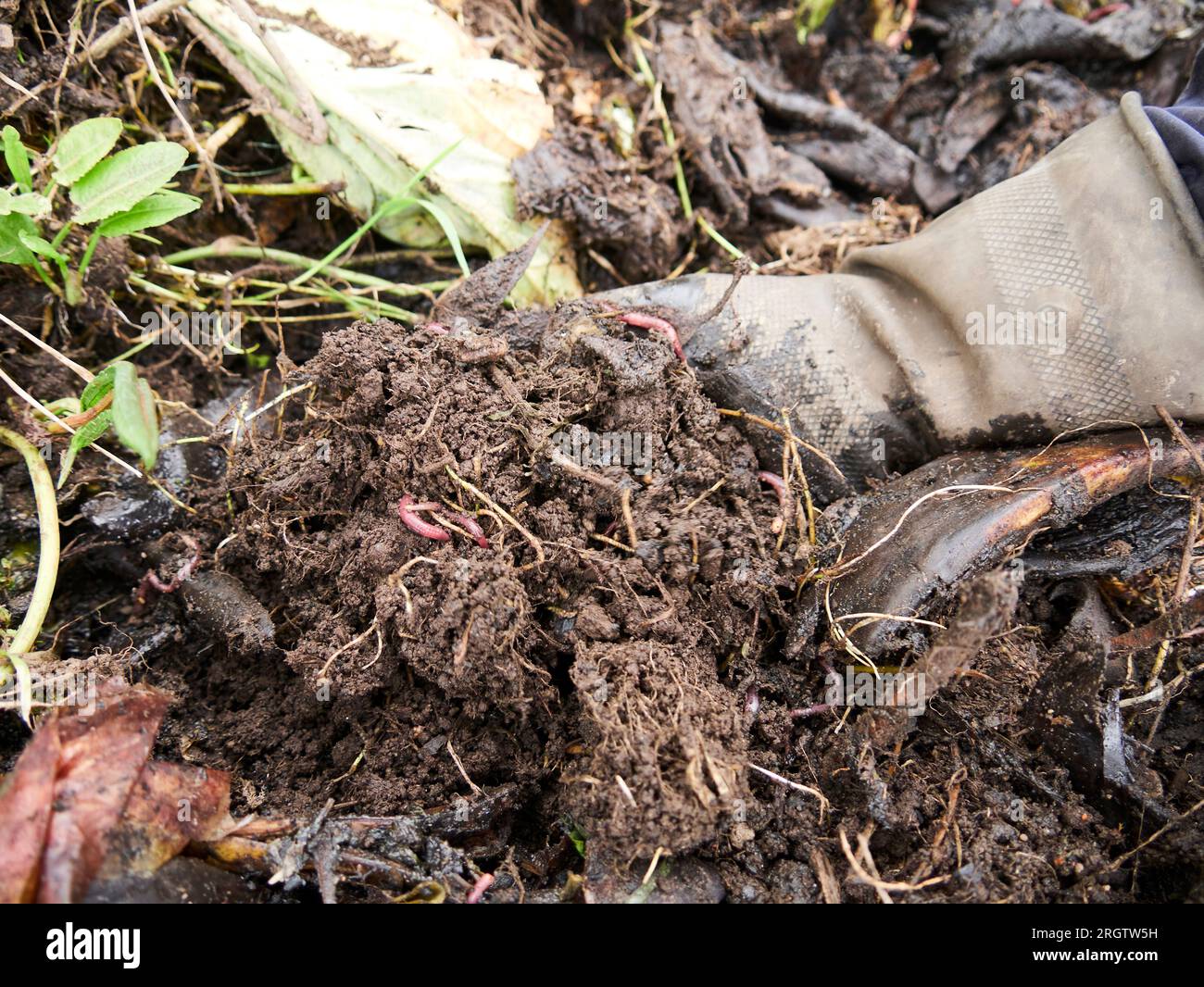Rural Agriculture: A Look at the vegetables Farm Industry Stock Photo ...
