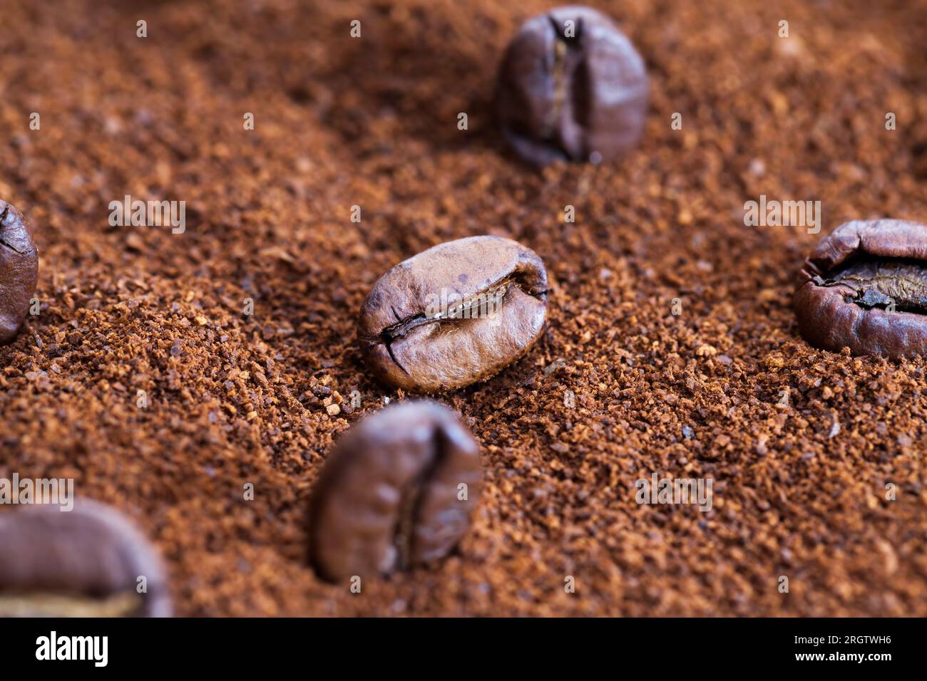 Raw cocoa beans on a spoon hi-res stock photography and images - Alamy