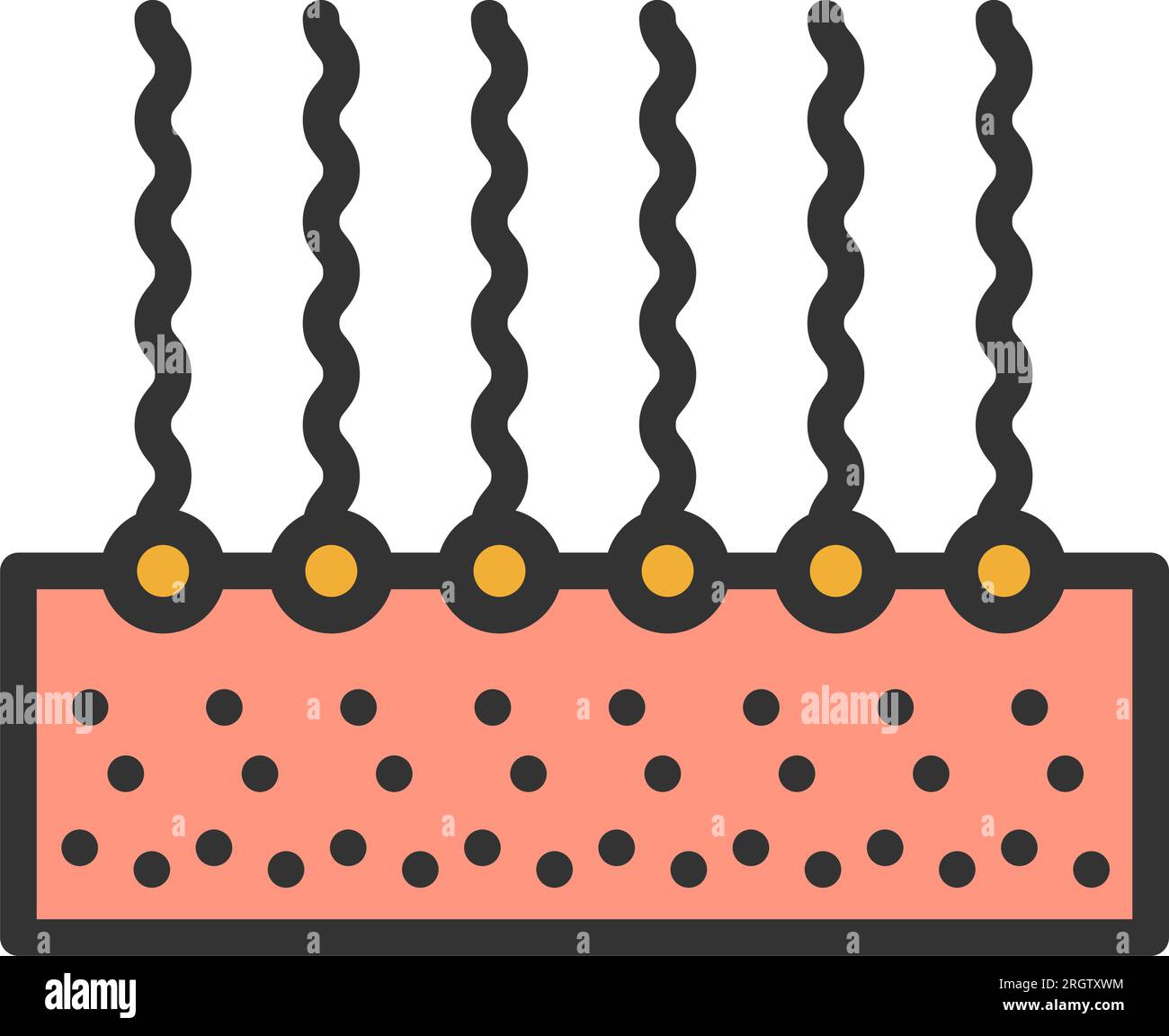 Monolayer vector vectors Stock Vector Images - Alamy