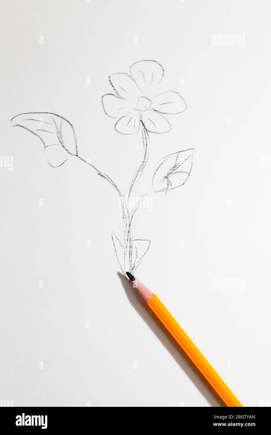 Poor quality paint hi-res stock photography and images - Alamy