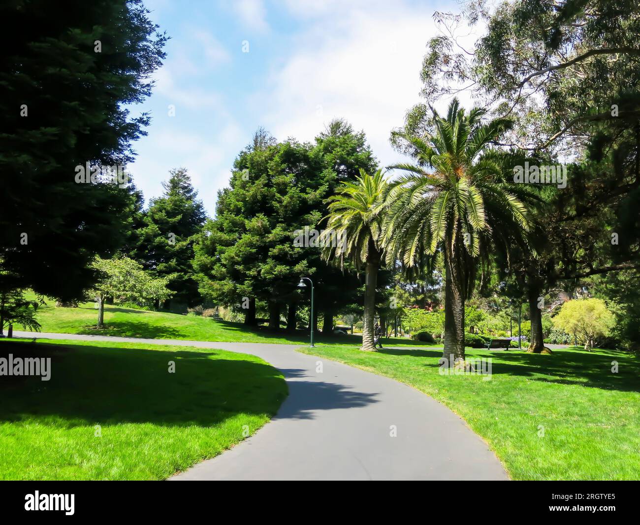 San francisco presidio park hi-res stock photography and images - Alamy