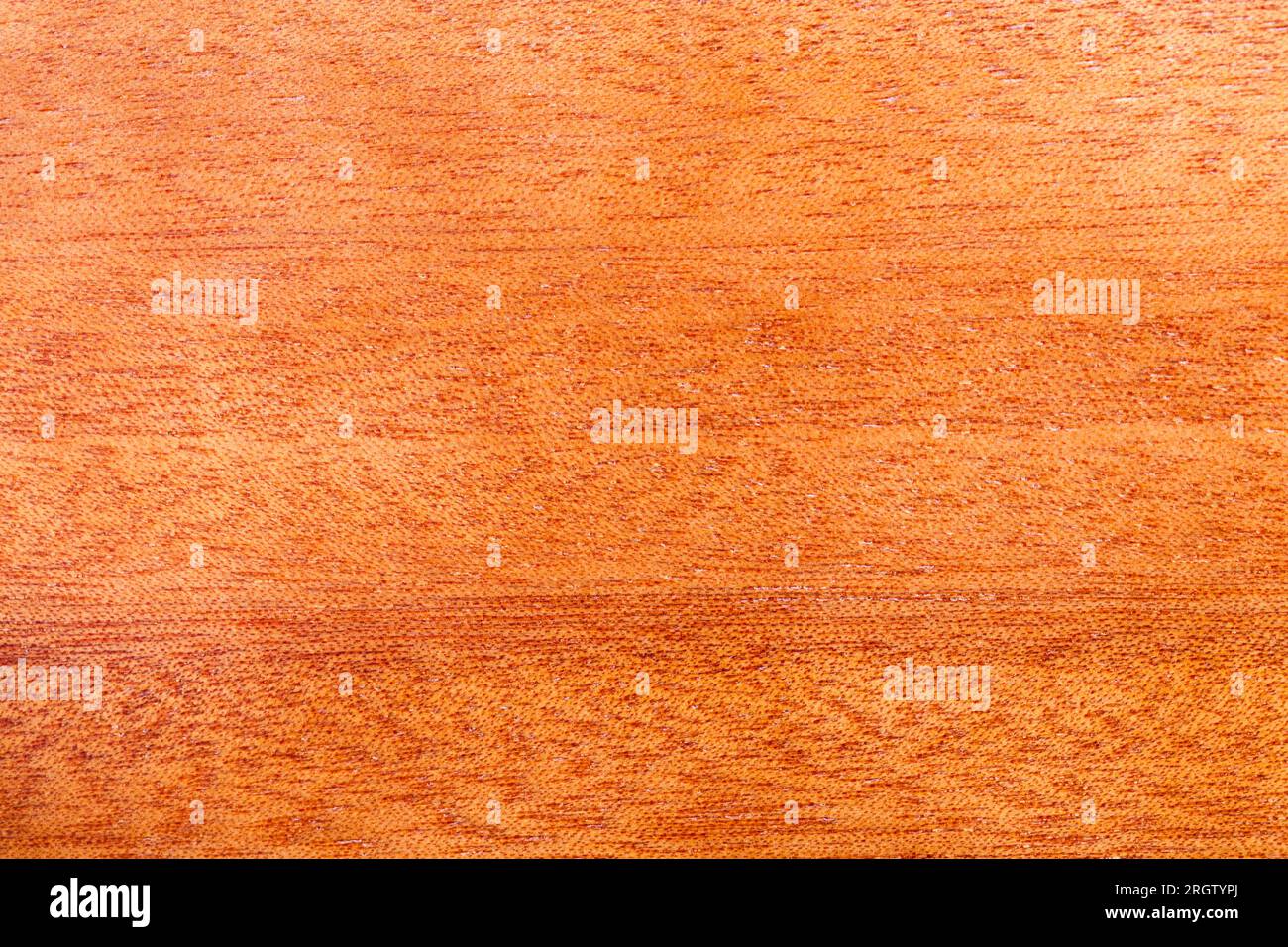 mahogany wood structure, details and features of mahogany Stock Photo ...