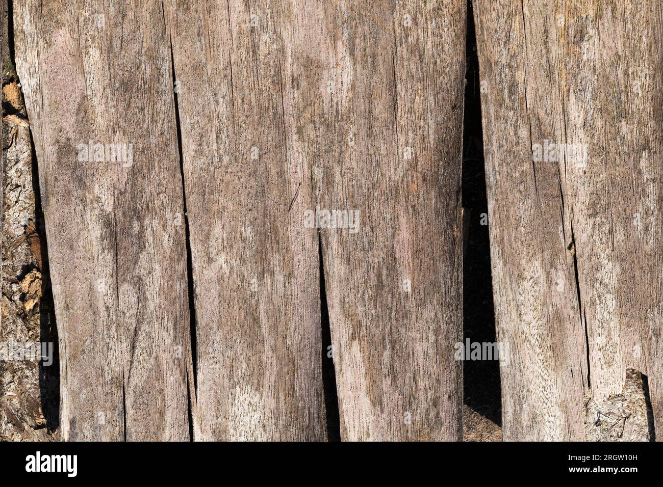 wood surface with its structure, details and features of wood Stock ...
