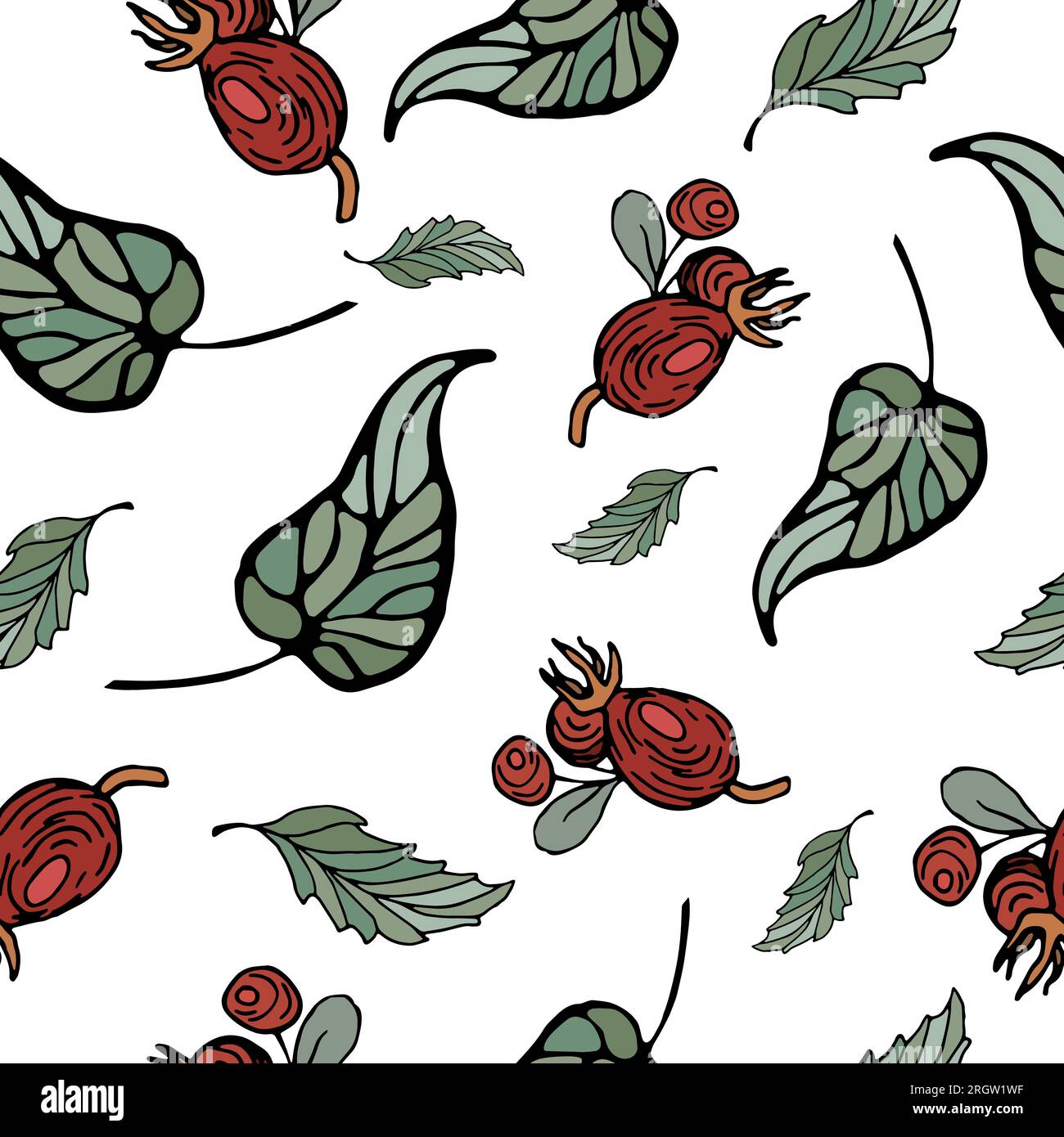 Rose hips plant Stock Vector Images - Alamy