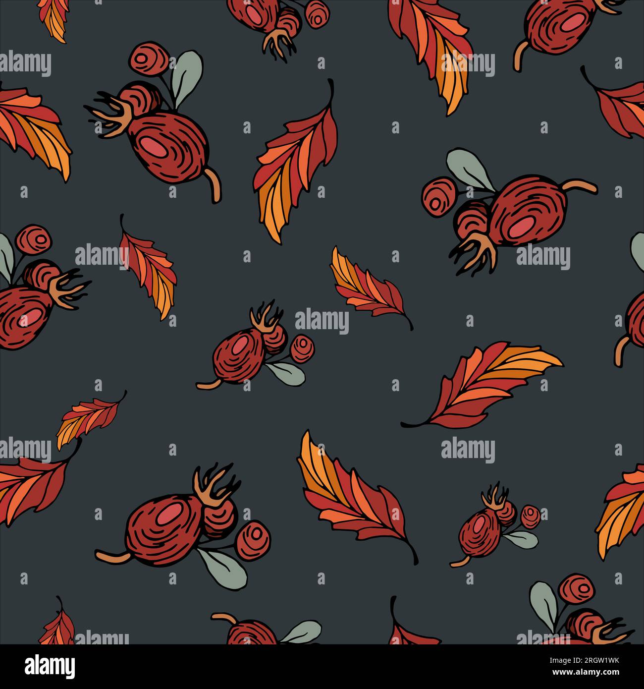Rose hips plant Stock Vector Images - Alamy