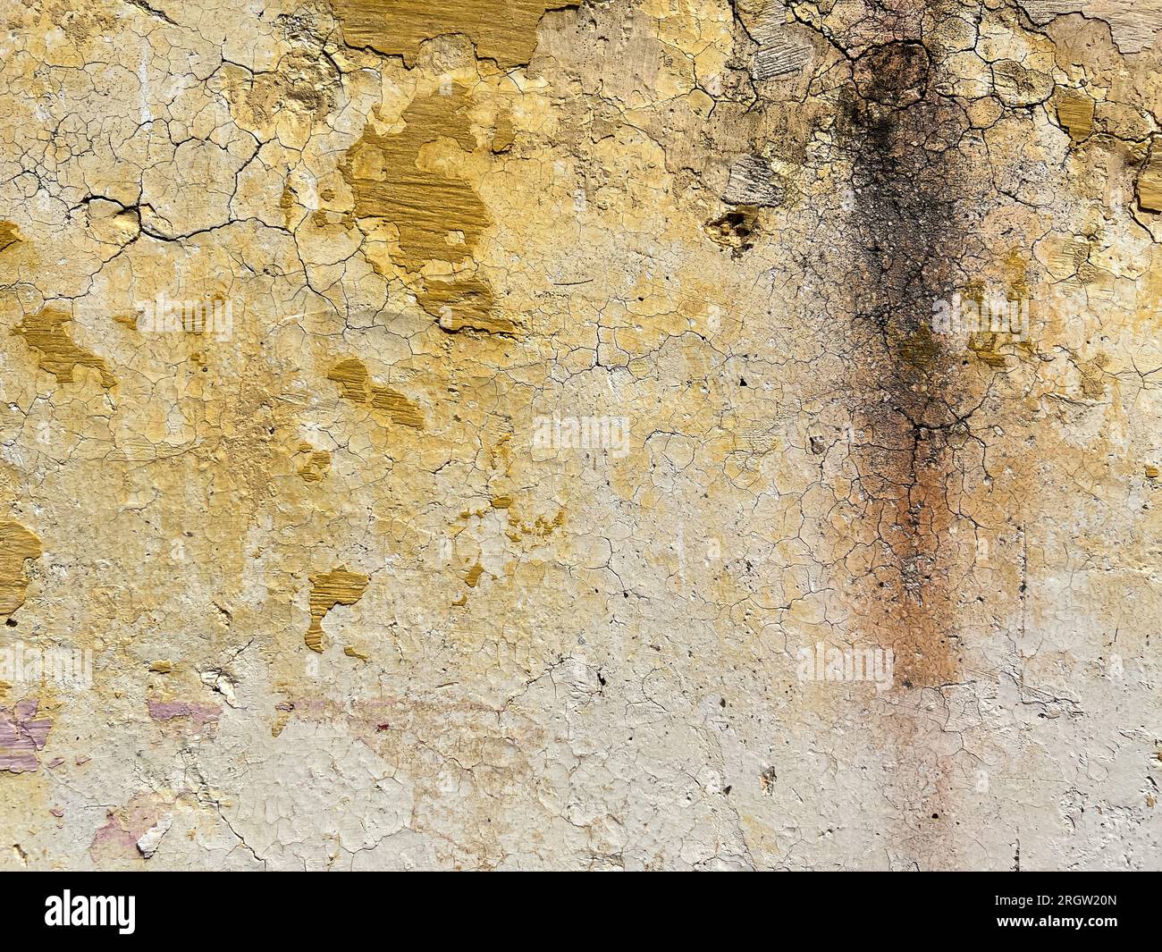 Ochre-yellow texture stucco wall in Oaxaca, Mexico Stock Photo - Alamy
