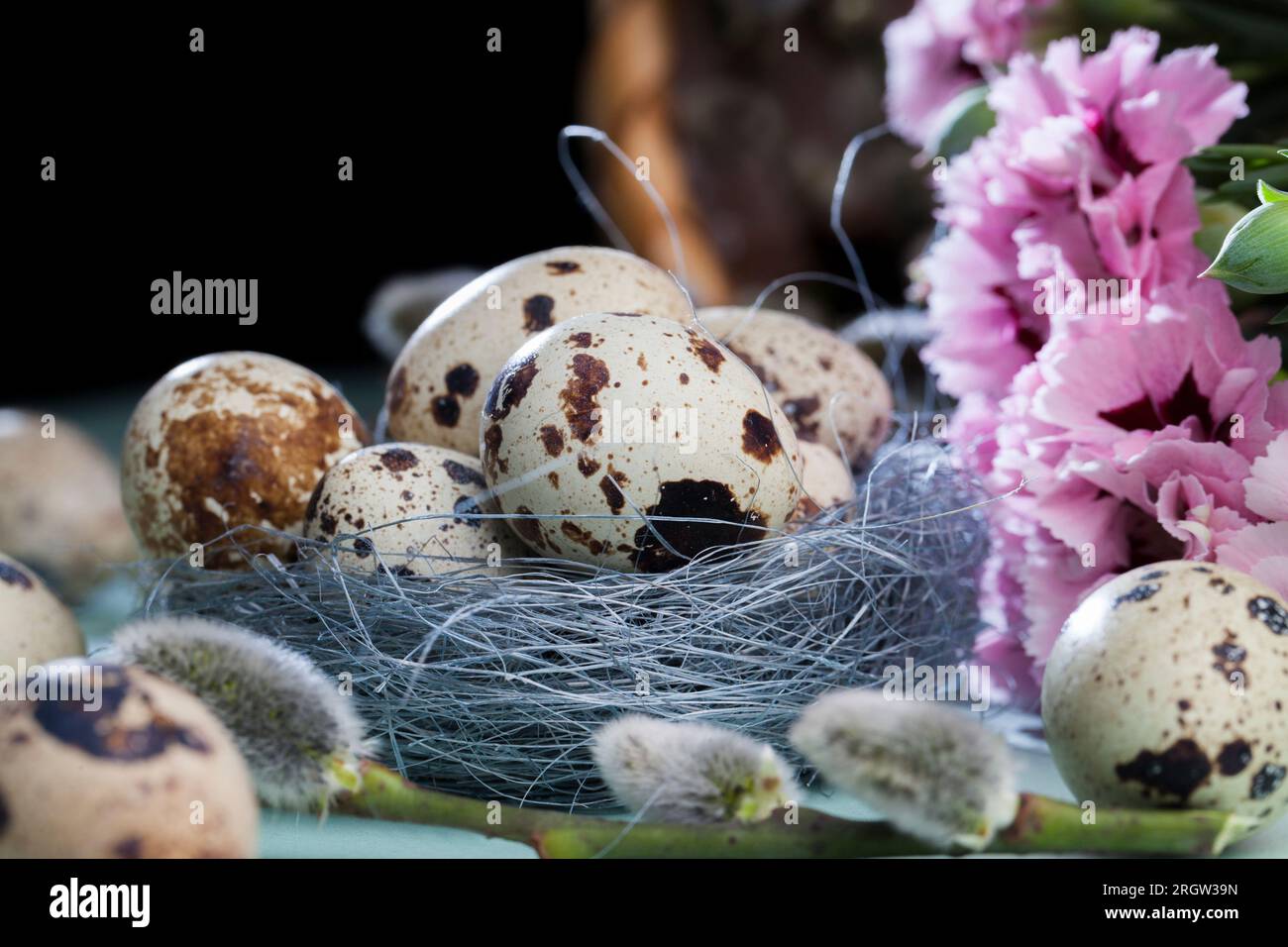 elements and decor for celebrating Easter, eggs and other elements for ...