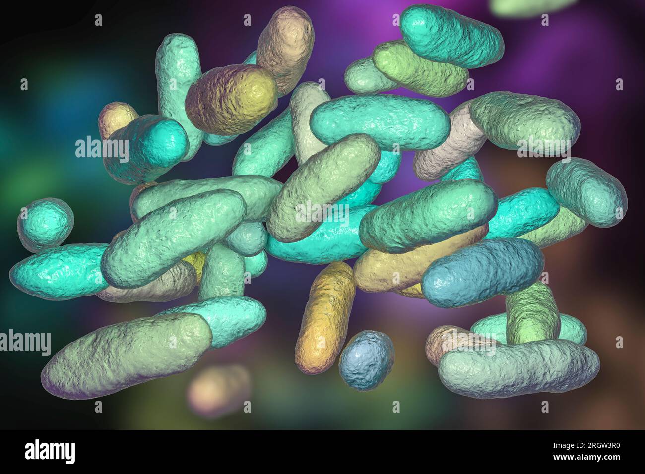 Aeromonas bacteria, illustration Stock Photo - Alamy