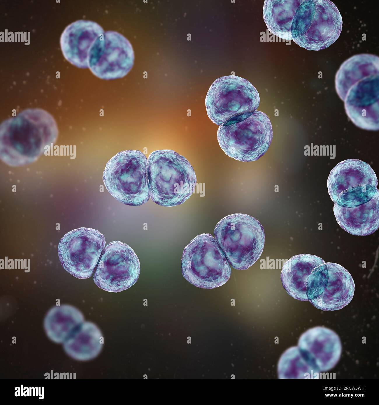 Streptococcus pneumoniae bacteria, illustration Stock Photo - Alamy