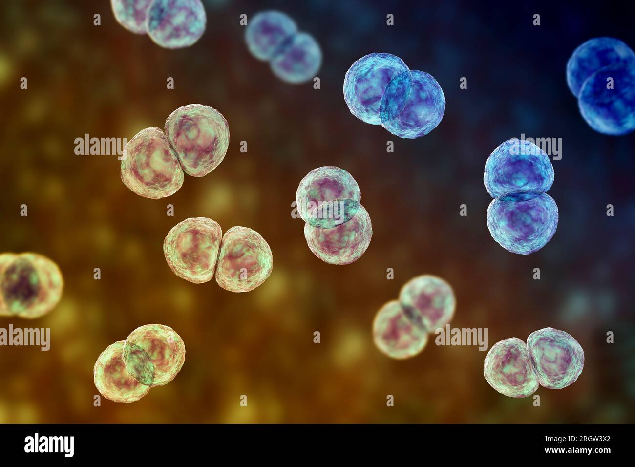 Streptococcus pneumoniae bacteria, illustration Stock Photo - Alamy