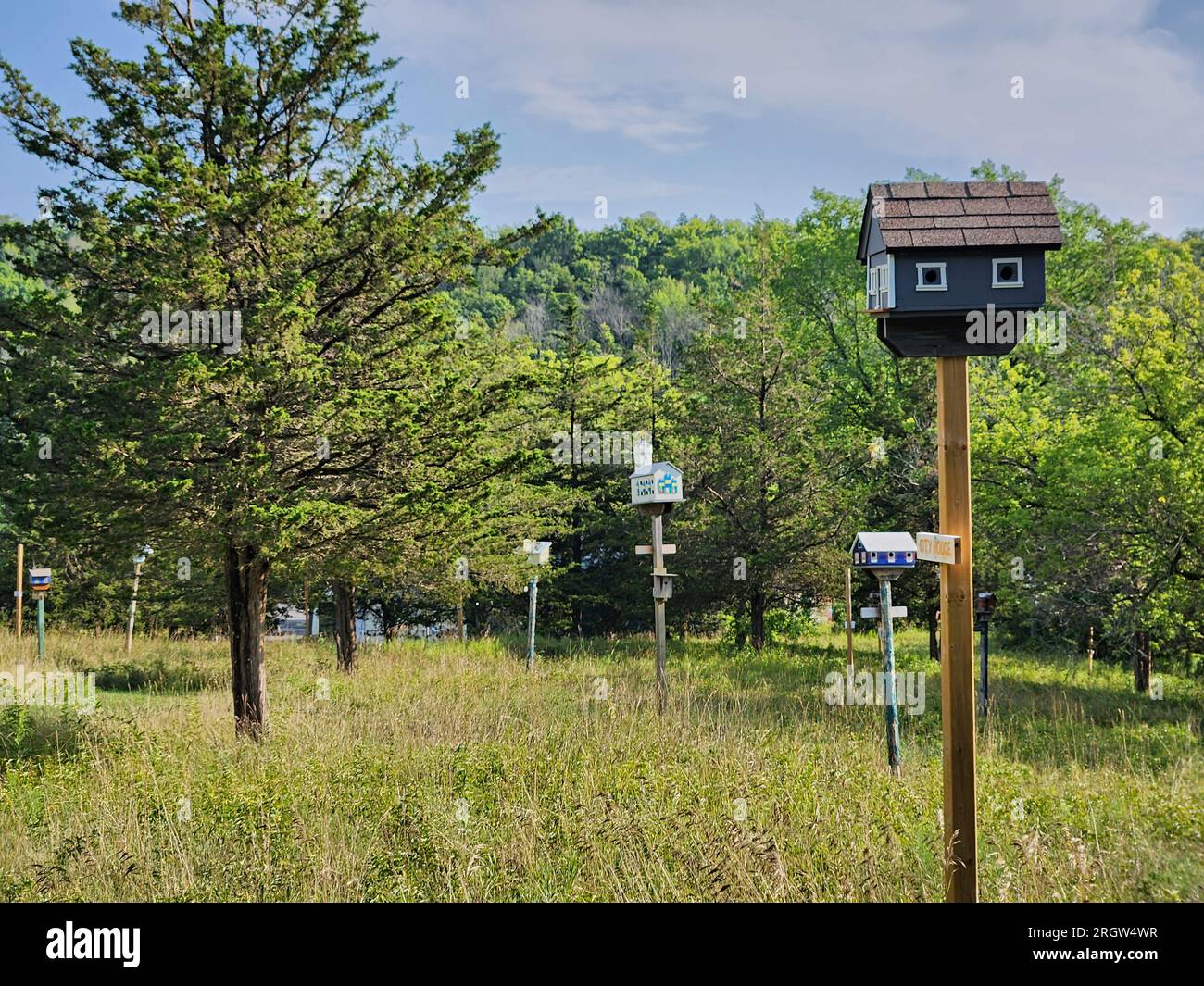 Colorful collection of bird houses hi-res stock photography and images ...