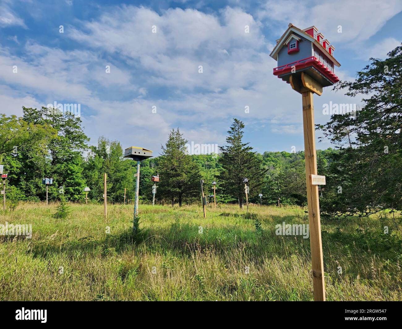 Colorful collection of bird houses hi-res stock photography and images ...