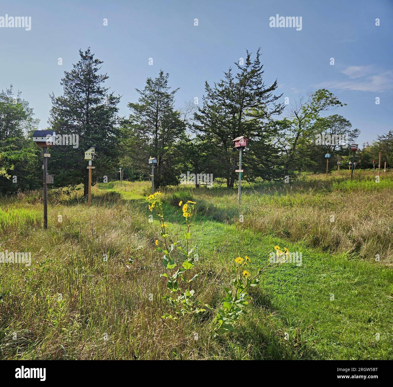 Colorful collection of bird houses hi-res stock photography and images ...
