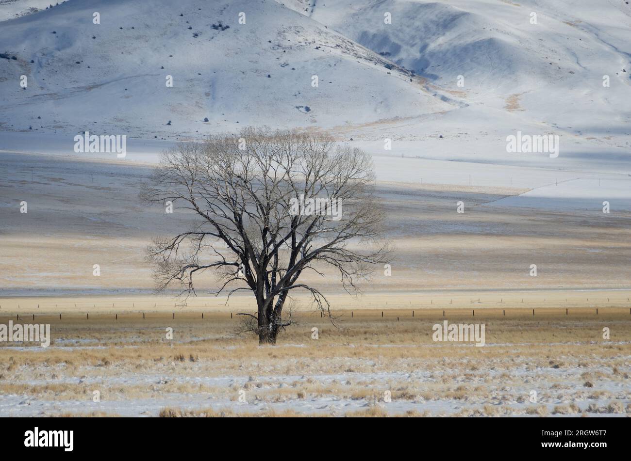 Madison range hi-res stock photography and images - Alamy