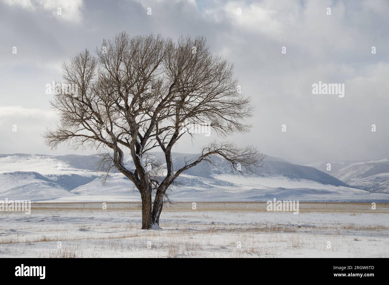 Madison range hi-res stock photography and images - Alamy
