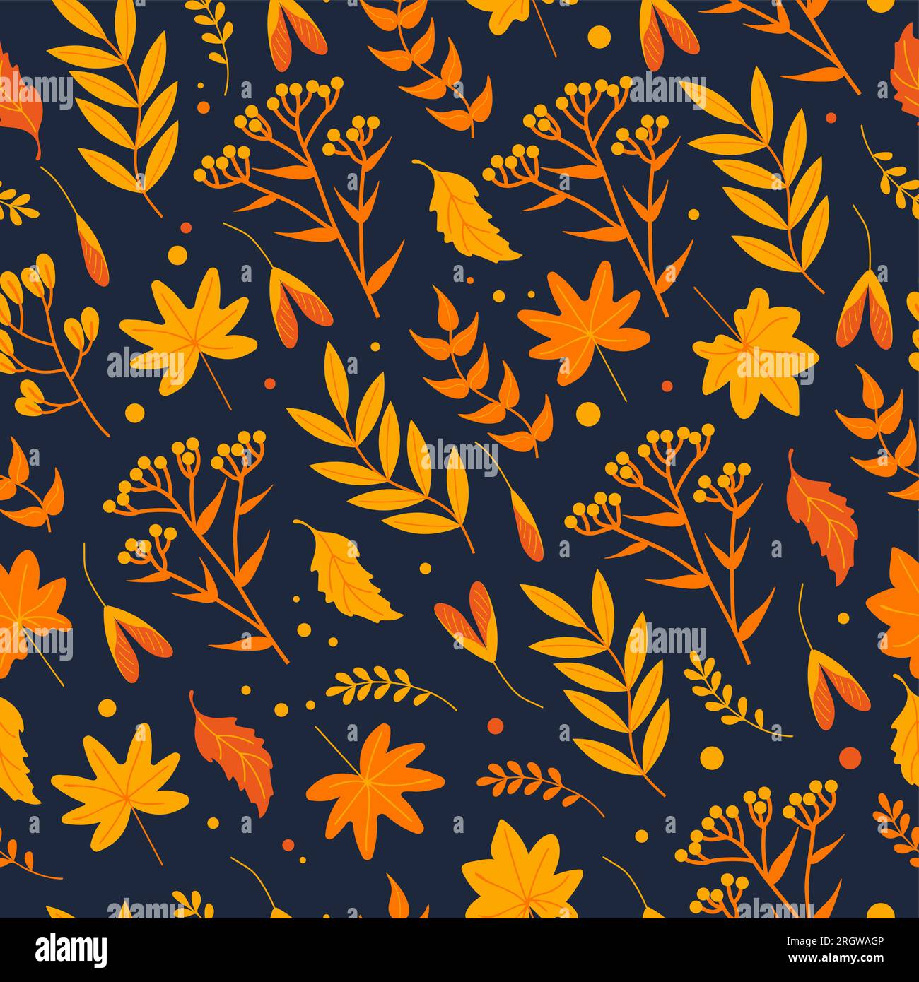 The sun light and beautiful in autumn Stock Vector Images - Alamy