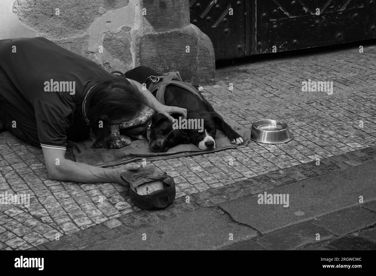 Begging man with his dogs kneeling on the street of Prague begging for ...