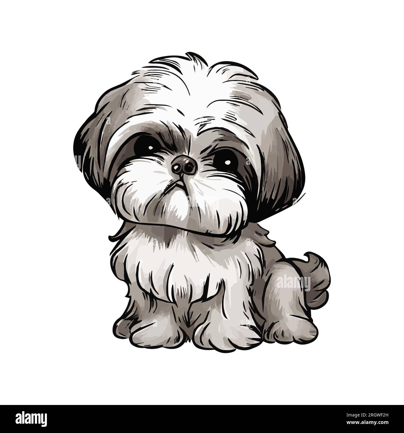 Cute small shih tzu dog Cut Out Stock Images & Pictures - Alamy