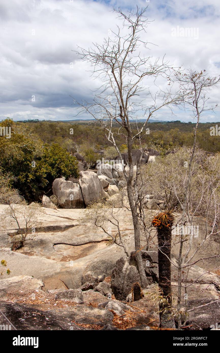 Granite Gorge, Landscape, Mareeba, ustralia Stock Photo - Alamy