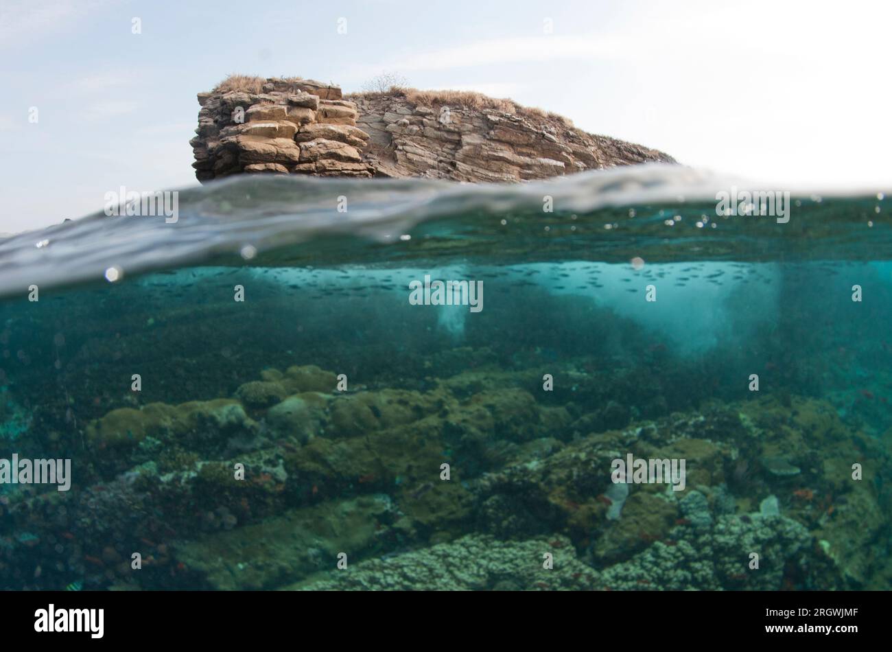 Split shot of island with reef below and school of fish, Batu Bulong ...