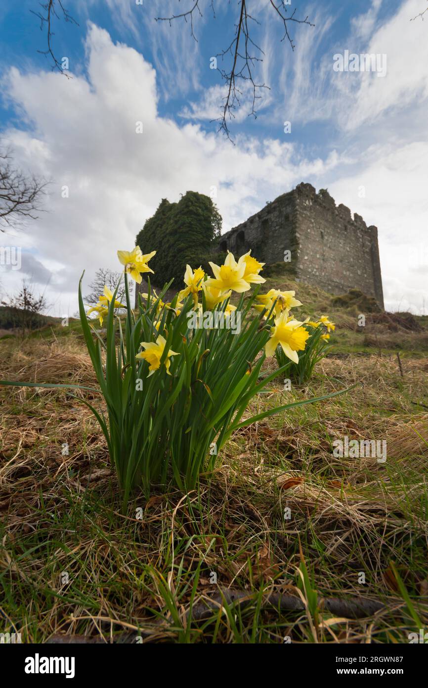 Lachlan castle hi-res stock photography and images - Alamy