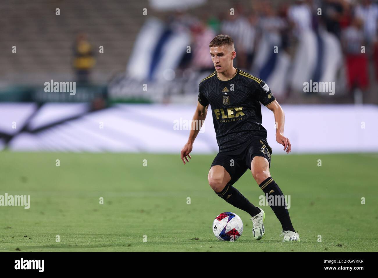 Stipe biuk hi-res stock photography and images - Alamy