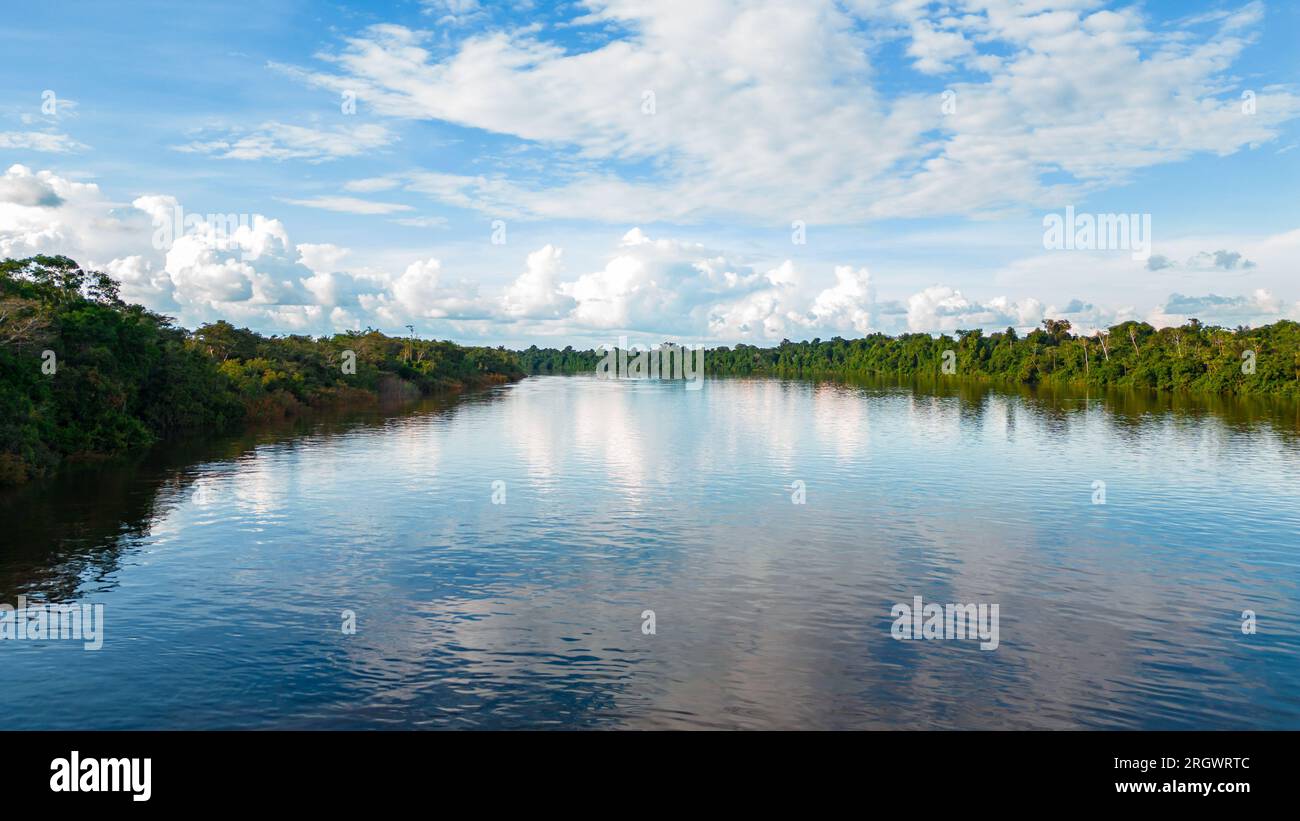 AMAZON RIVERS, SURROUNDED BY DENSE JUNGLE, THE MEANDERS ARE OBSERVED ...