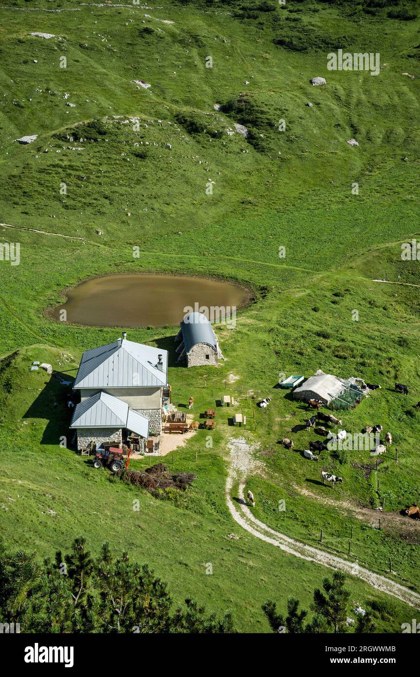 Alpine dairy for artisanal, sustainable production of cheese, yogurt ...