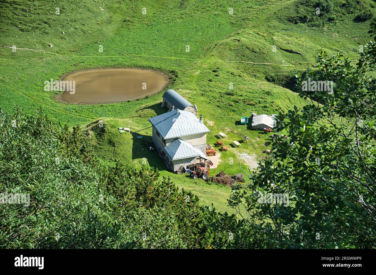 Alpine dairy for artisanal, sustainable production of cheese, yogurt ...