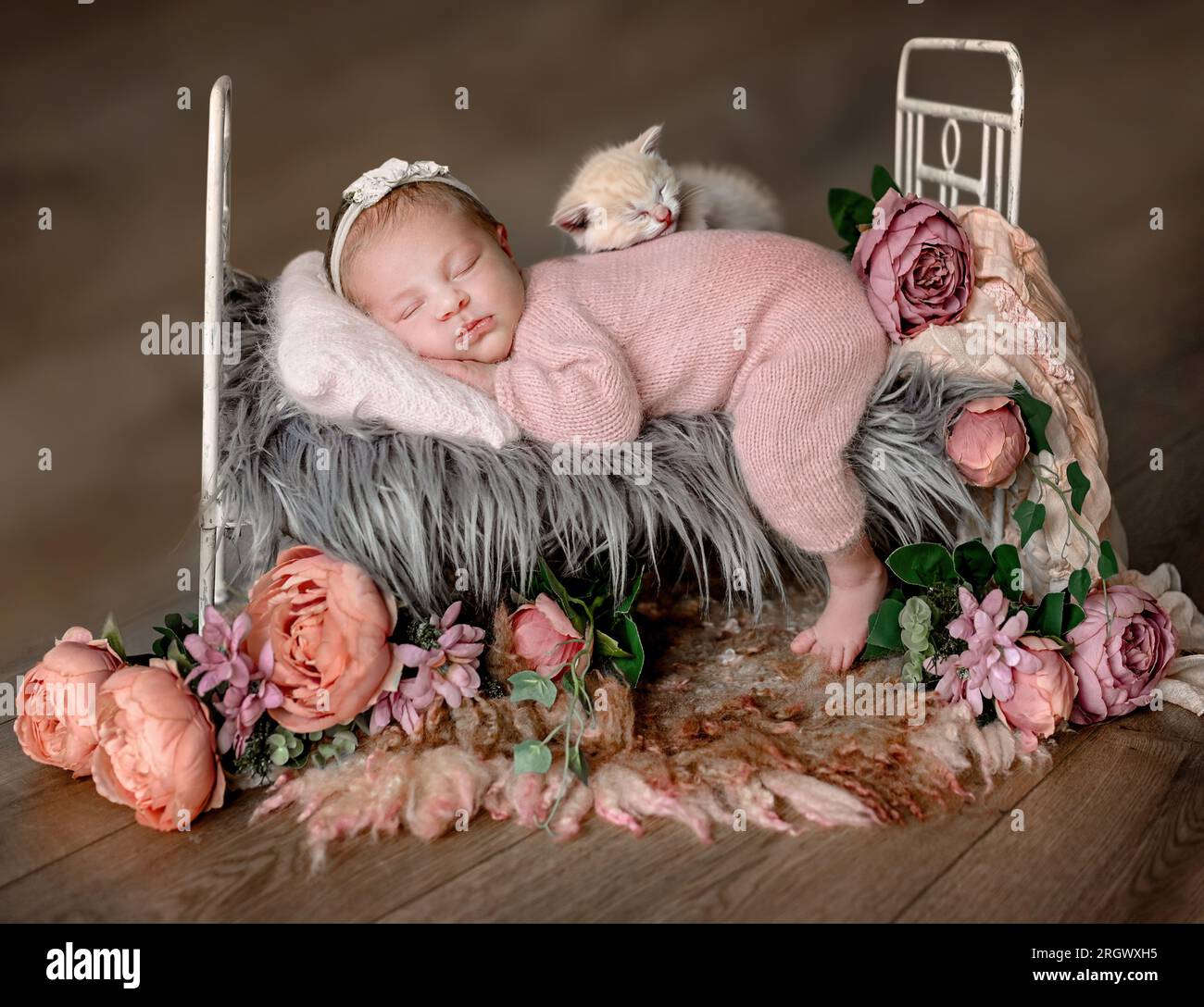 Newborn baby girl with a kitty sleeping in a tiny bed with peony flower ...