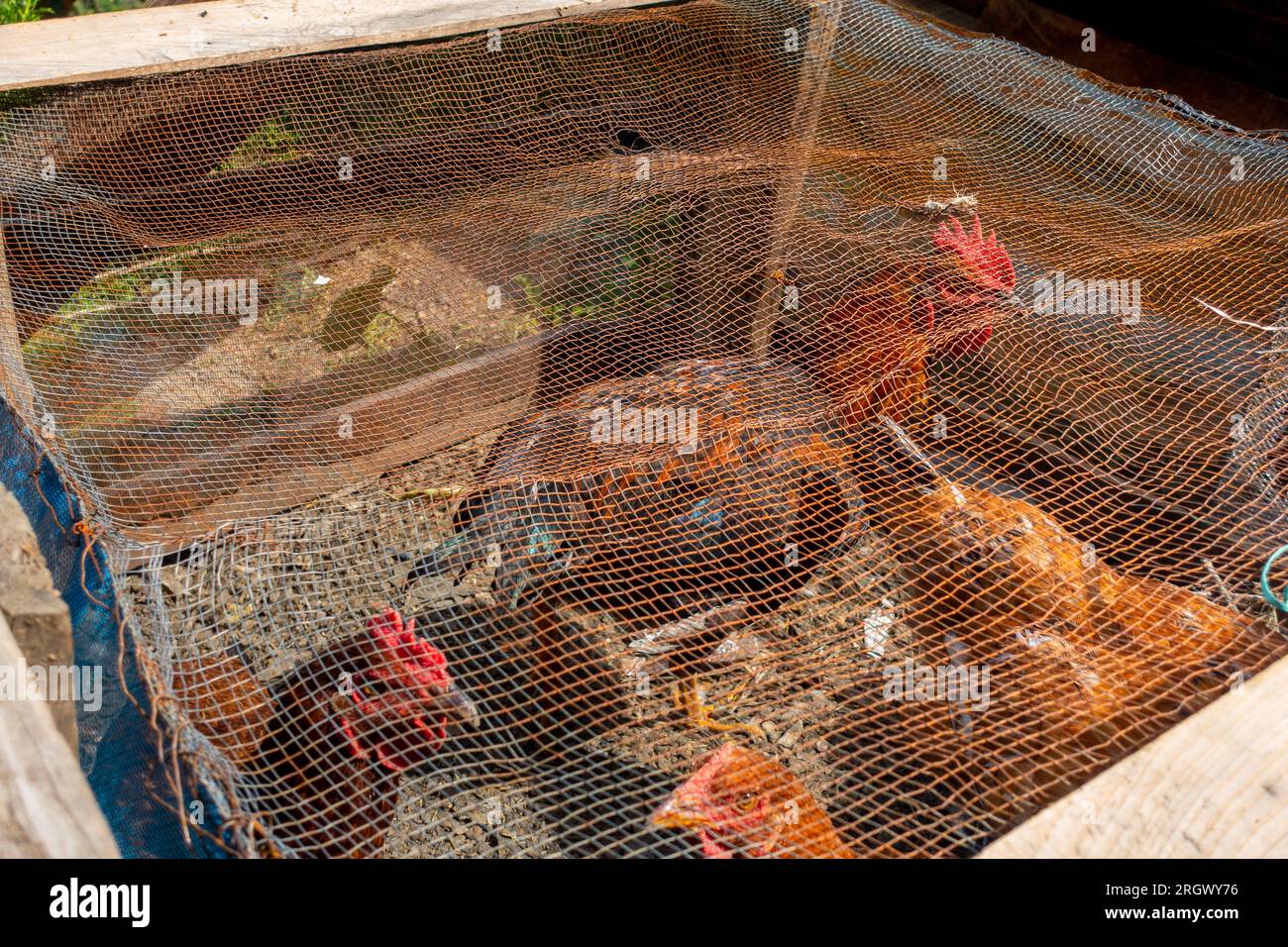 Domestic setting hi-res stock photography and images - Alamy