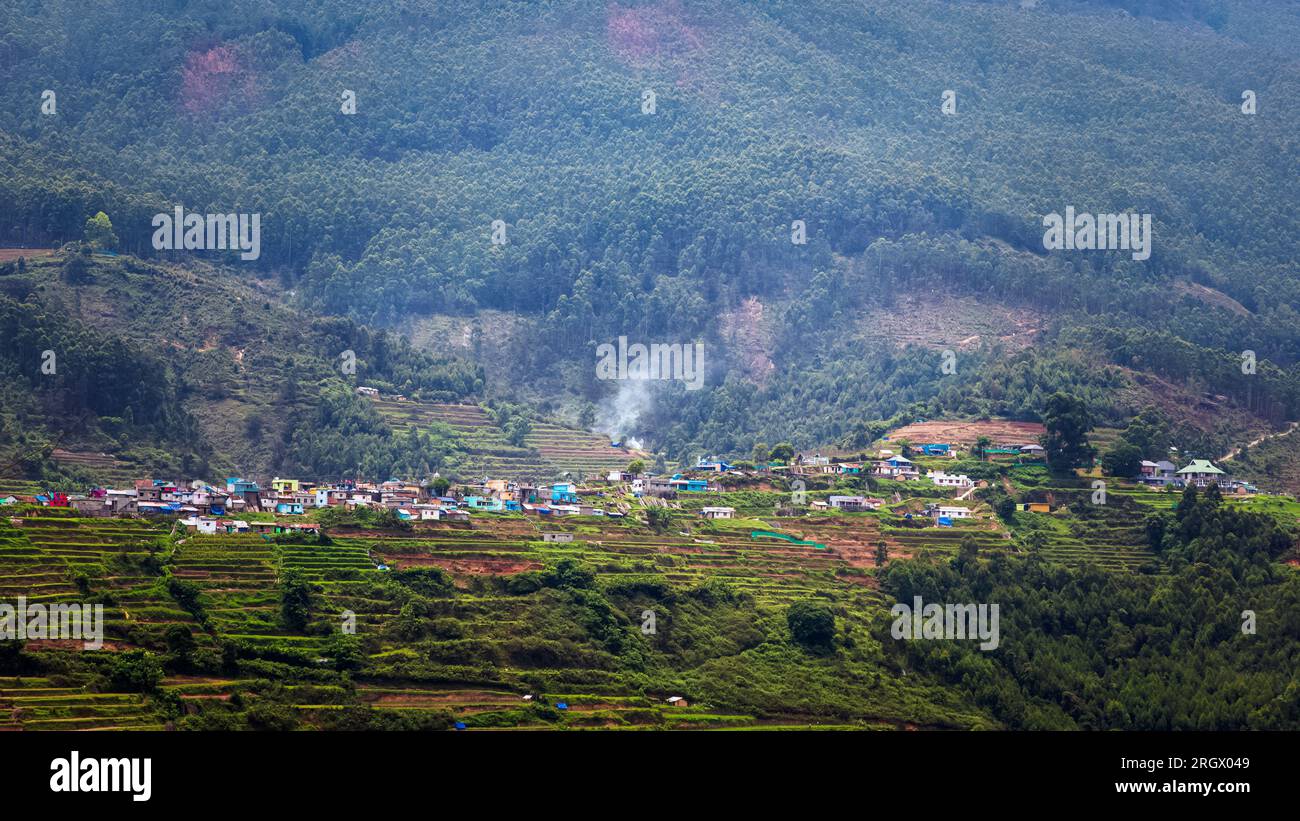 Beautiful Agriculture Farm Field View in Vattavada in Munnar,Idukki ...