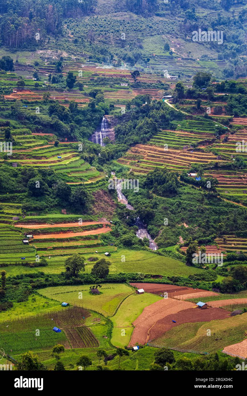 Beautiful Agriculture Farm Field View in Vattavada in Munnar,Idukki ...