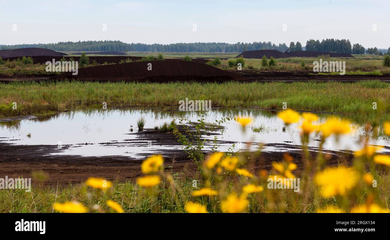 black peat is stacked in huge piles for loading on transport, the ...