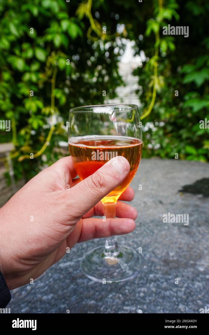 Hand holding drink against trees hi-res stock photography and images ...