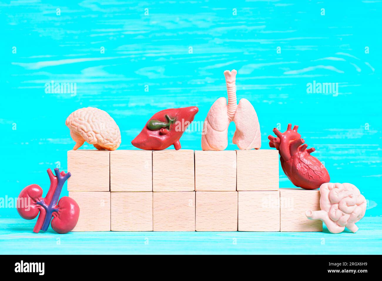 Intestines out of his body hi-res stock photography and images - Alamy