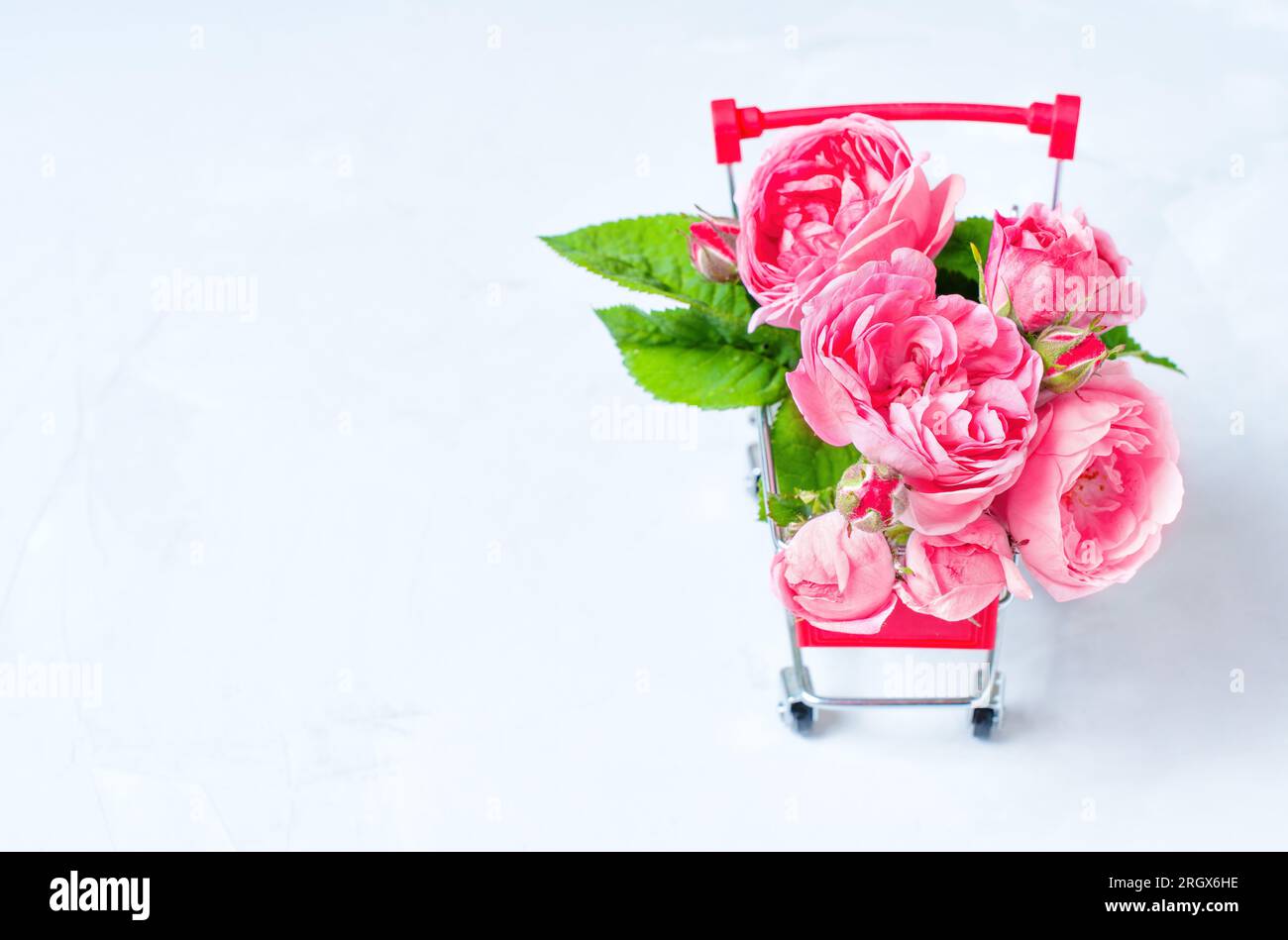 Bunch of soft red roses in miniature supermarket push cart set on a ...