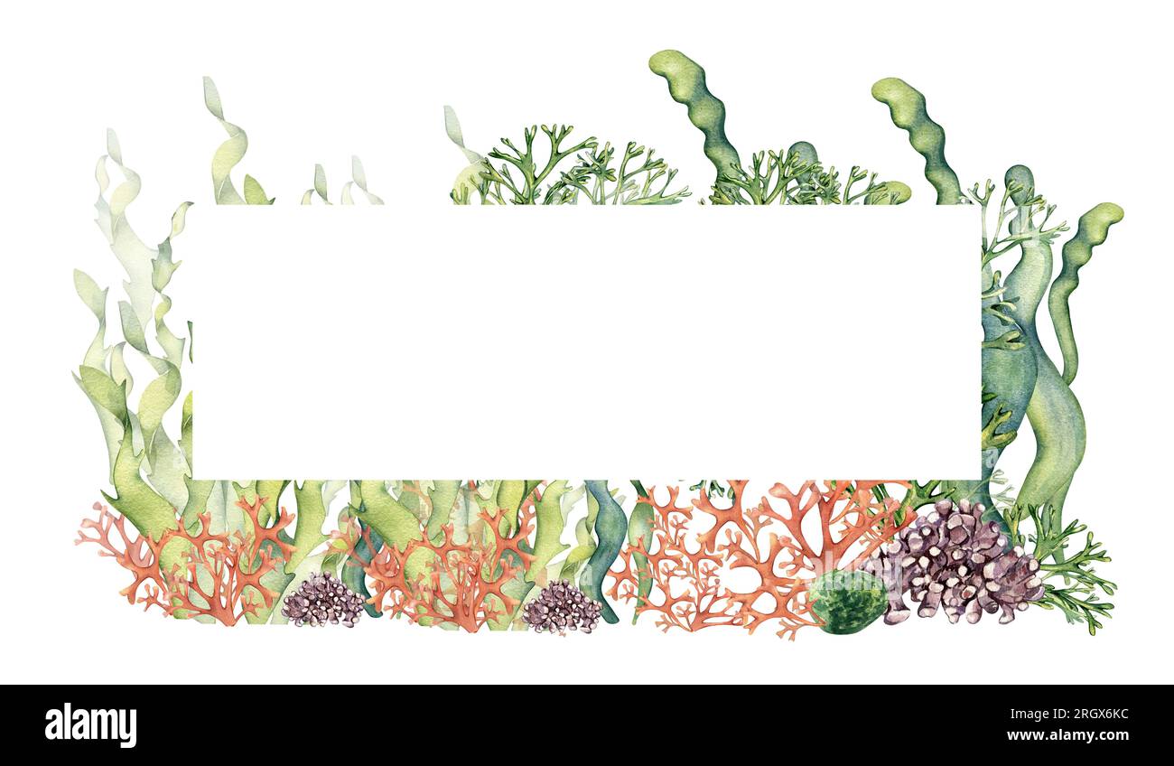 Frame of colorful sea plants watercolor illustration isolated on white ...